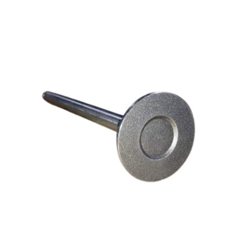 ROTARY EXHAUST VALVE (4)