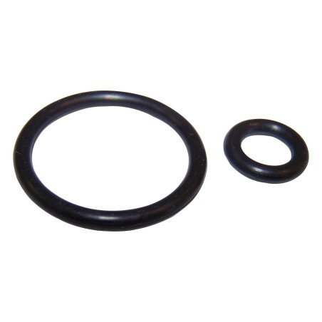 Fuel Pressure Regulator O-Ring Set