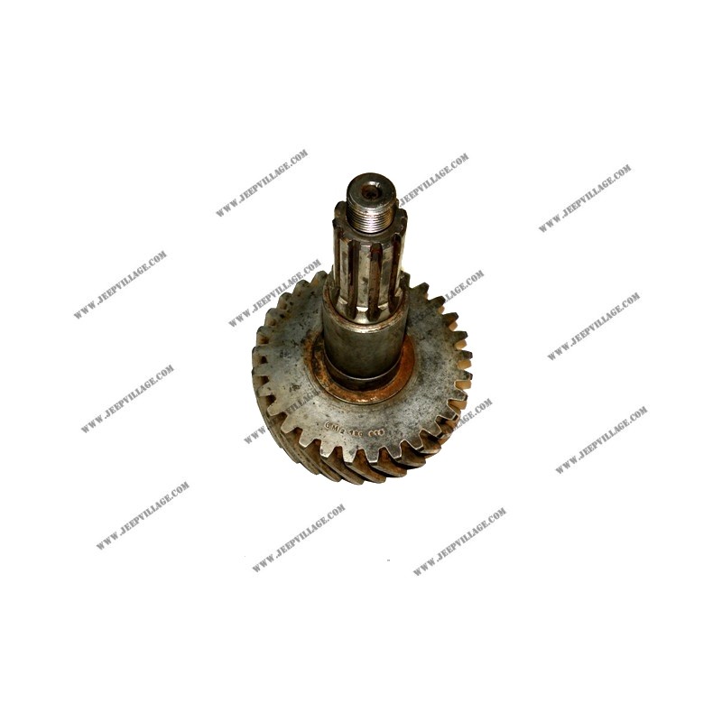 PIGNON A QUEUE B.T. BANJO