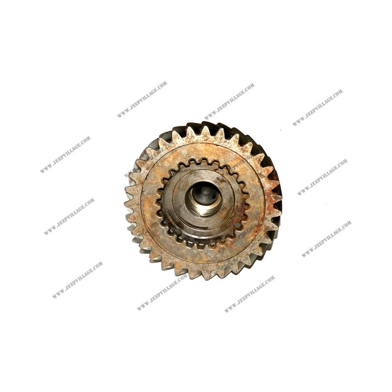 PIGNON A QUEUE B.T. 6X6